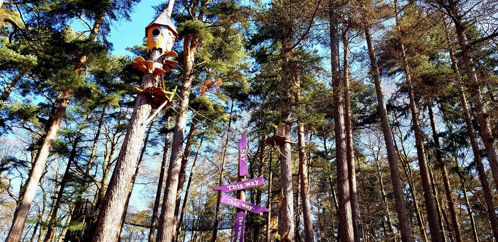 There's a magical new woodland adventure park with treehouses, mazes ...