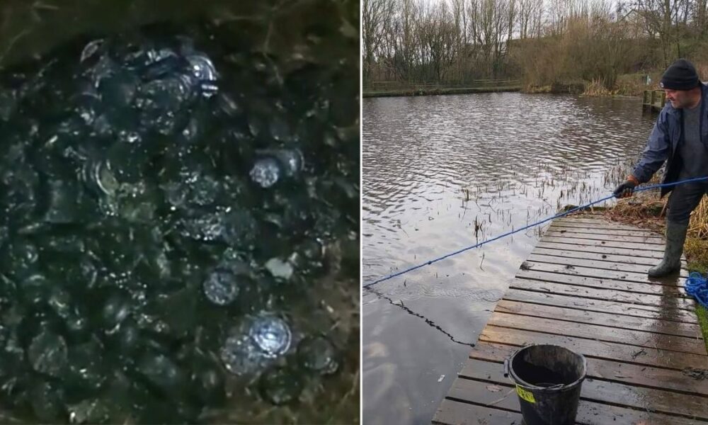 Bomb squad called to park after over 1,000 'railway track explosives' found