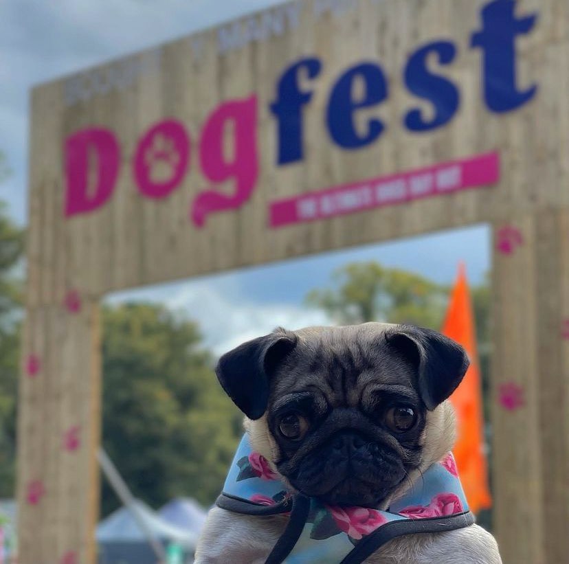 A huge festival for dogs is coming to the North West this summer