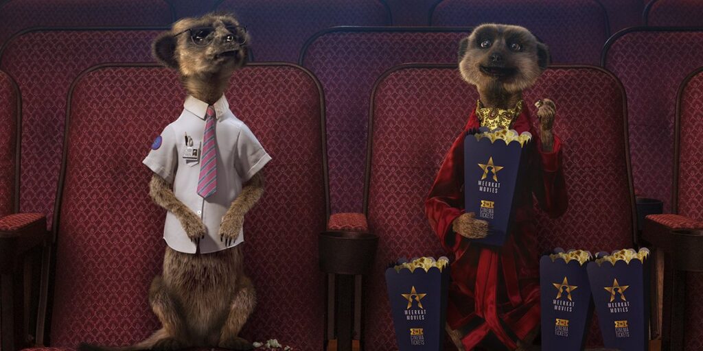 Compare The Market pulls meerkats adverts following Ukraine invasion