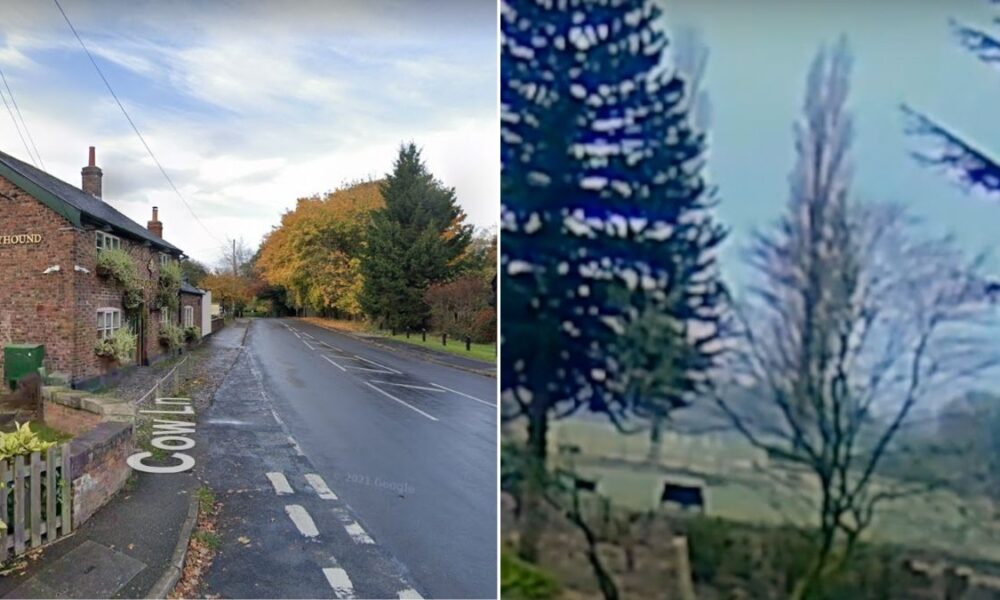 'Big cat' spotted in village on Greater Manchester and Cheshire border