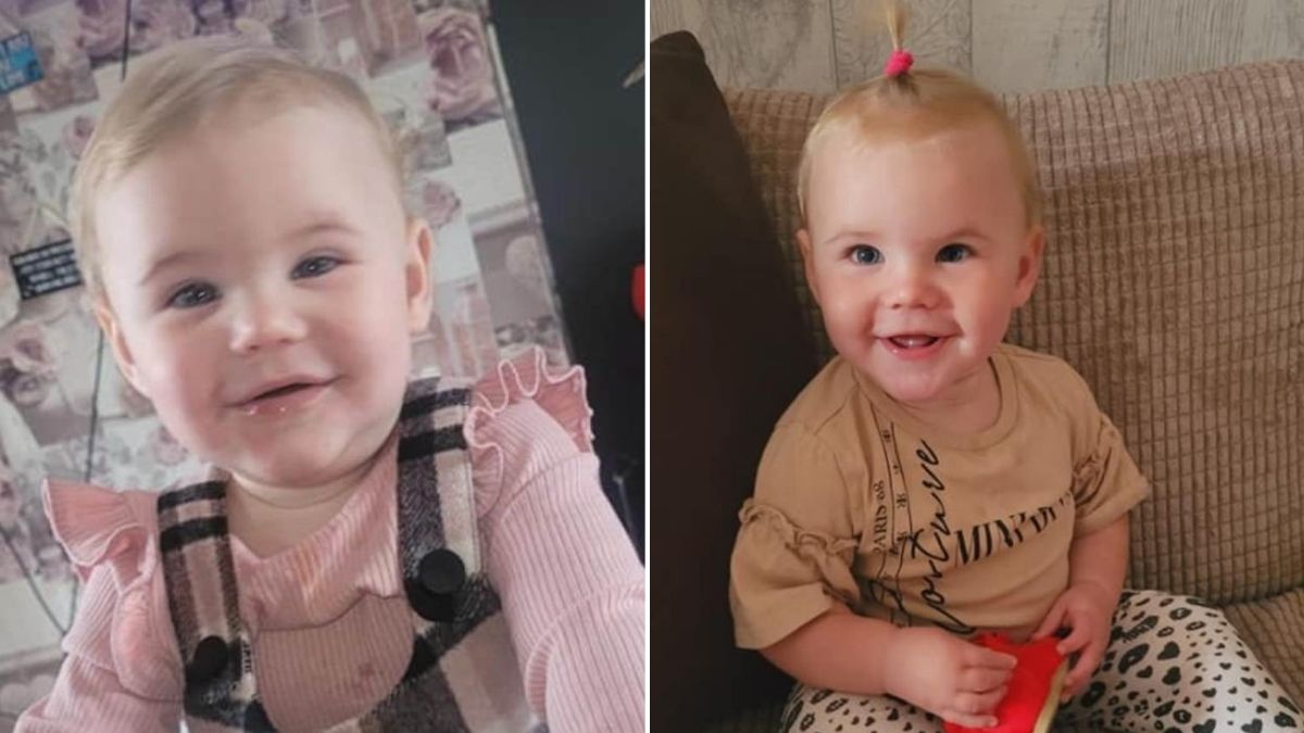 Dog which killed Bella-Rae Birch was not banned breed, tests confirm