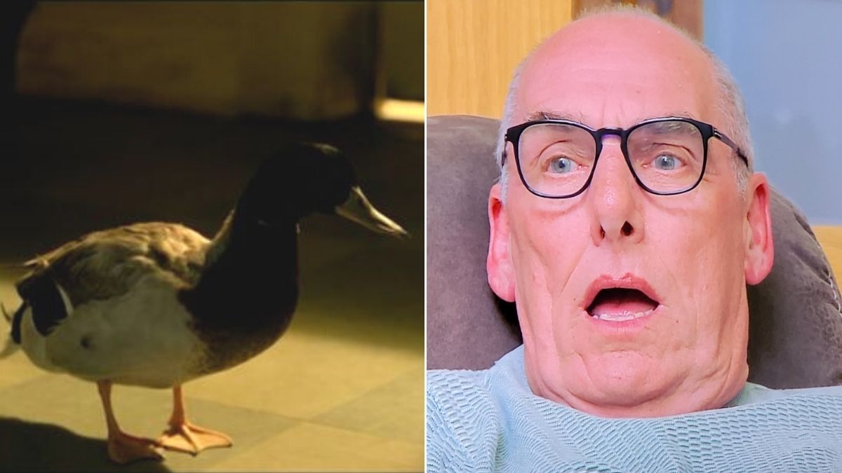 Tracy Beaker is returning to our screens for a brand new series ...