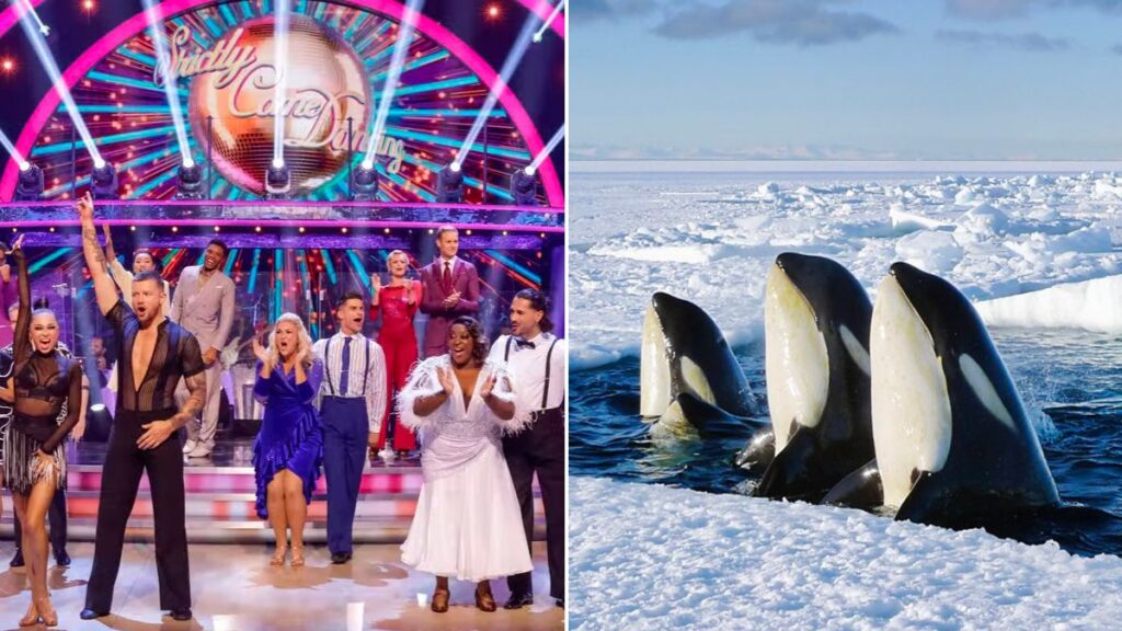 BBC TV Schedule To Change With Strictly Come Dancing Launch BBC TV Schedule To Change With Strictly Come Dancing Launch
