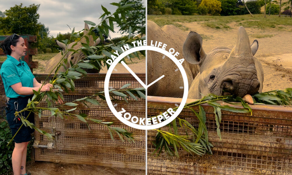 The Oakfield at Chester Zoo voted one of the best restaurants in the ...