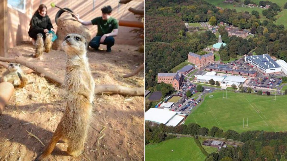 Greater Manchester could be getting its first zoo in 45 years